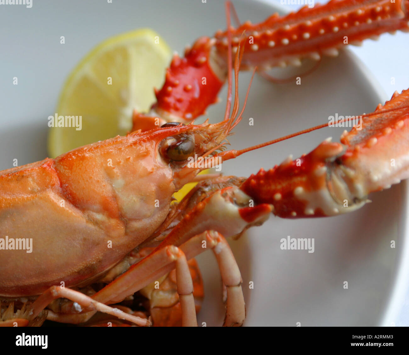 Scottish prawns hi-res stock photography and images - Alamy