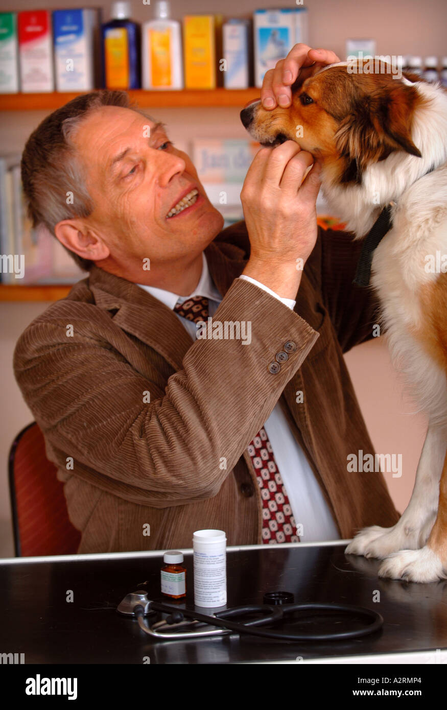 CHRISTOPHER DAY A HOMEOPATHIC VETERINARY SURGEON EXAMINES A DOG IN HIS ...