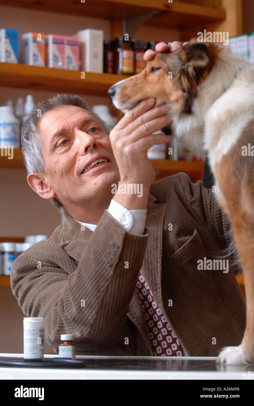 CHRISTOPHER DAY A HOMEOPATHIC VETERINARY SURGEON EXAMINES A DOG IN HIS ...