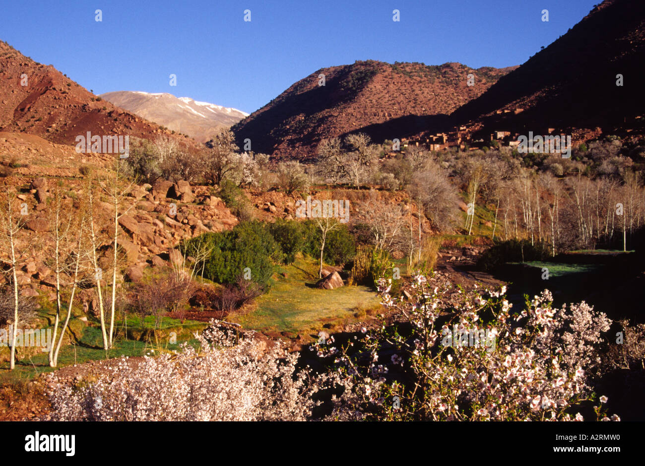 Horizontal landscape of beautiful High Atlas mountain valley with ...