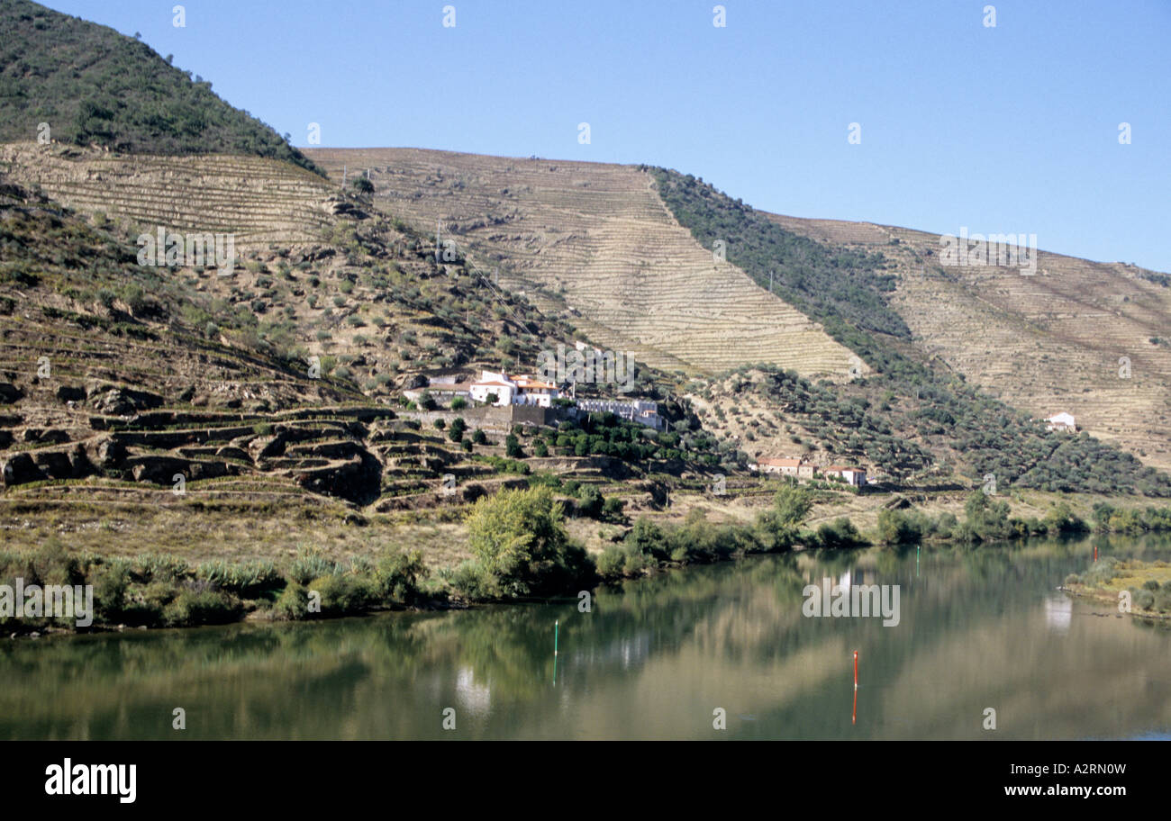 Quinta or wine producing estate on the Douro Valley Portugal Stock ...
