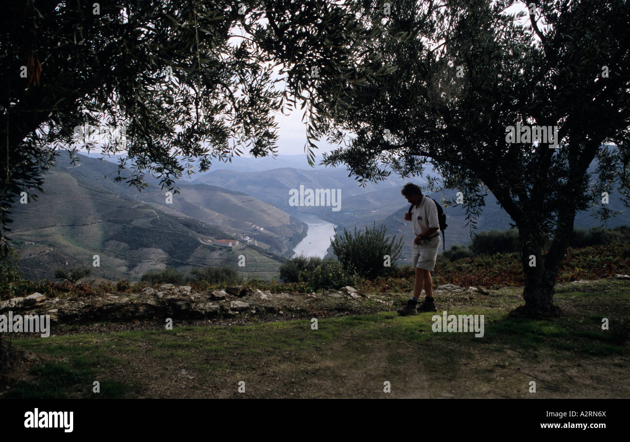 walker in the vineyards of the Douro valley Stock Photo - Alamy