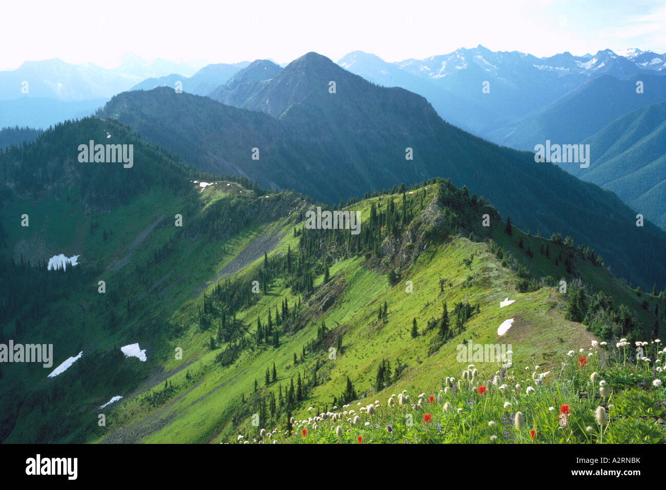Selkirk mountains hi-res stock photography and images - Alamy