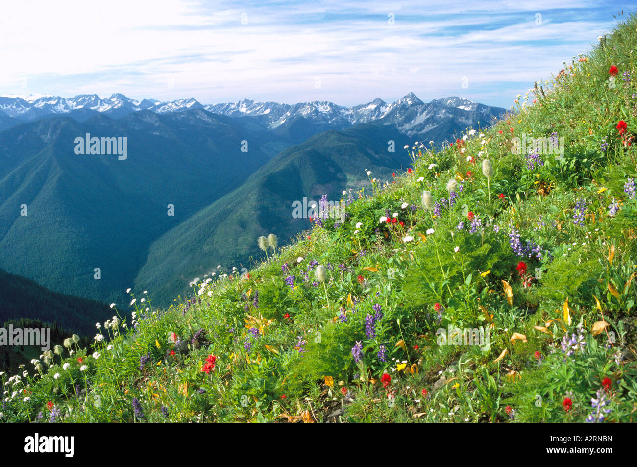 Valhalla Range in Selkirk Mountains, BC, British Columbia, Canada ...