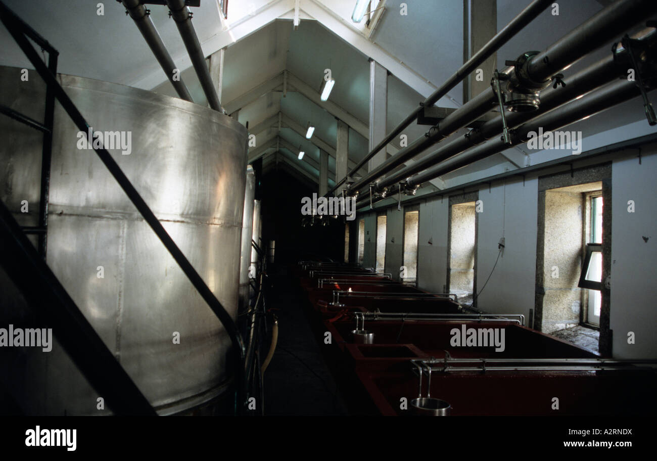 The traditional wine making vats and stone troughs for preparing and ...