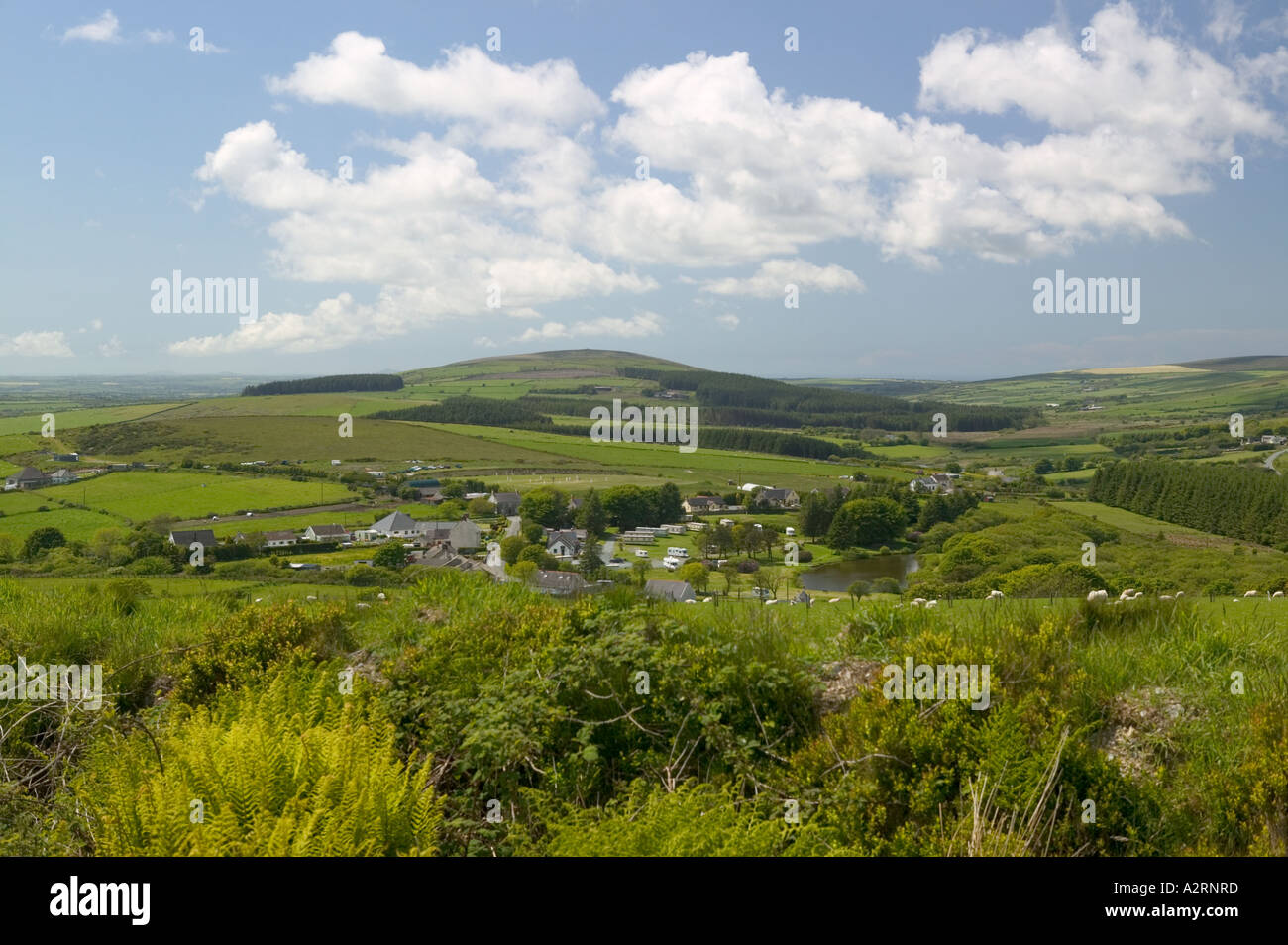 Rosebush pembrokeshire hi-res stock photography and images - Alamy
