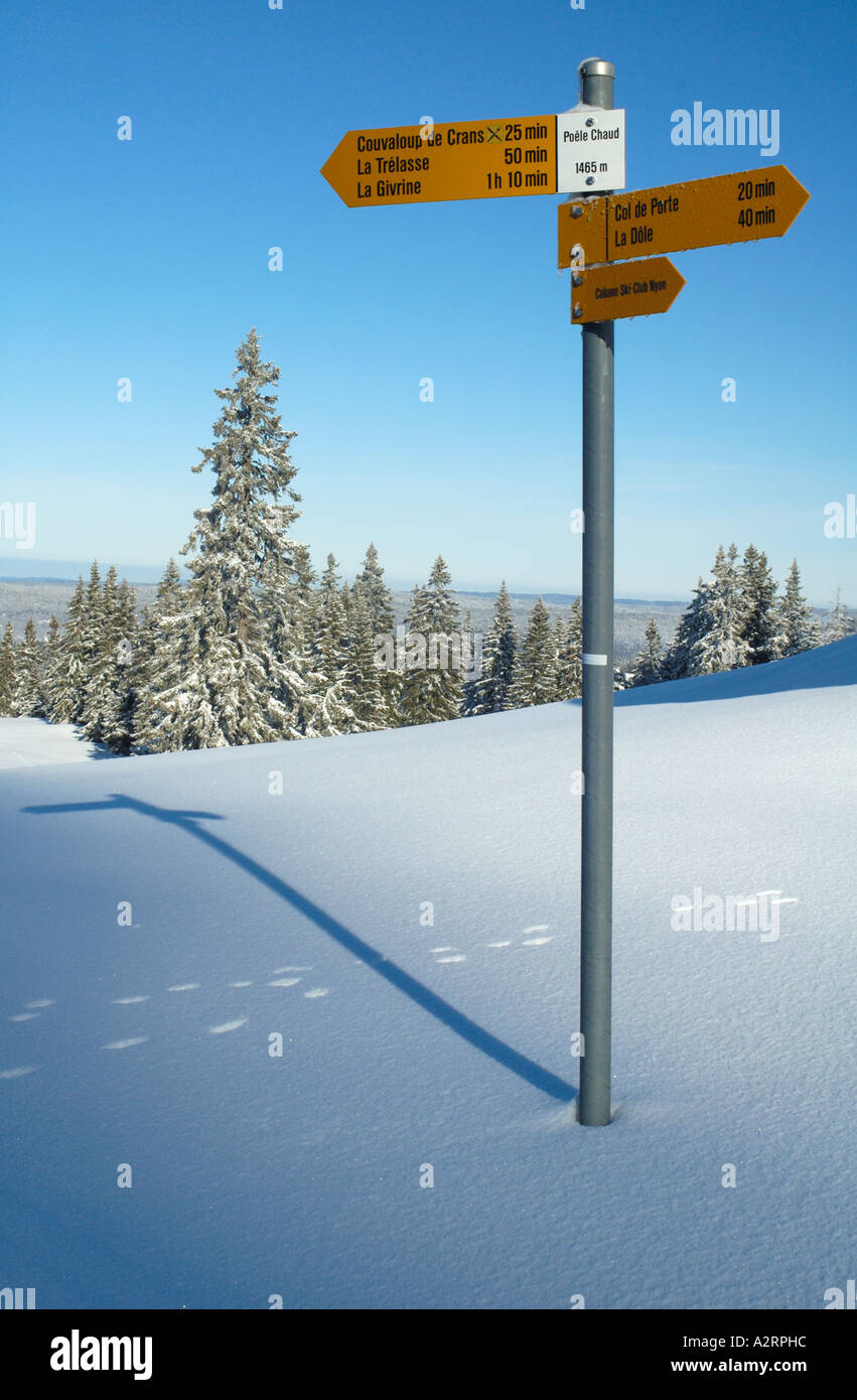 Sign signpost directions trees hi-res stock photography and images - Alamy