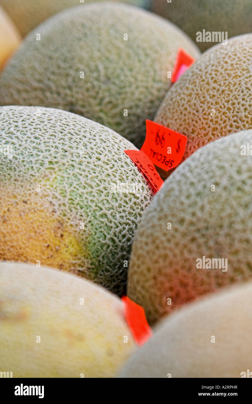 Cucumis reticulatus hi-res stock photography and images - Alamy