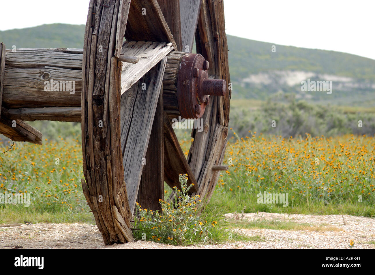 Wooden Bull Wheel Stock Photo - Alamy