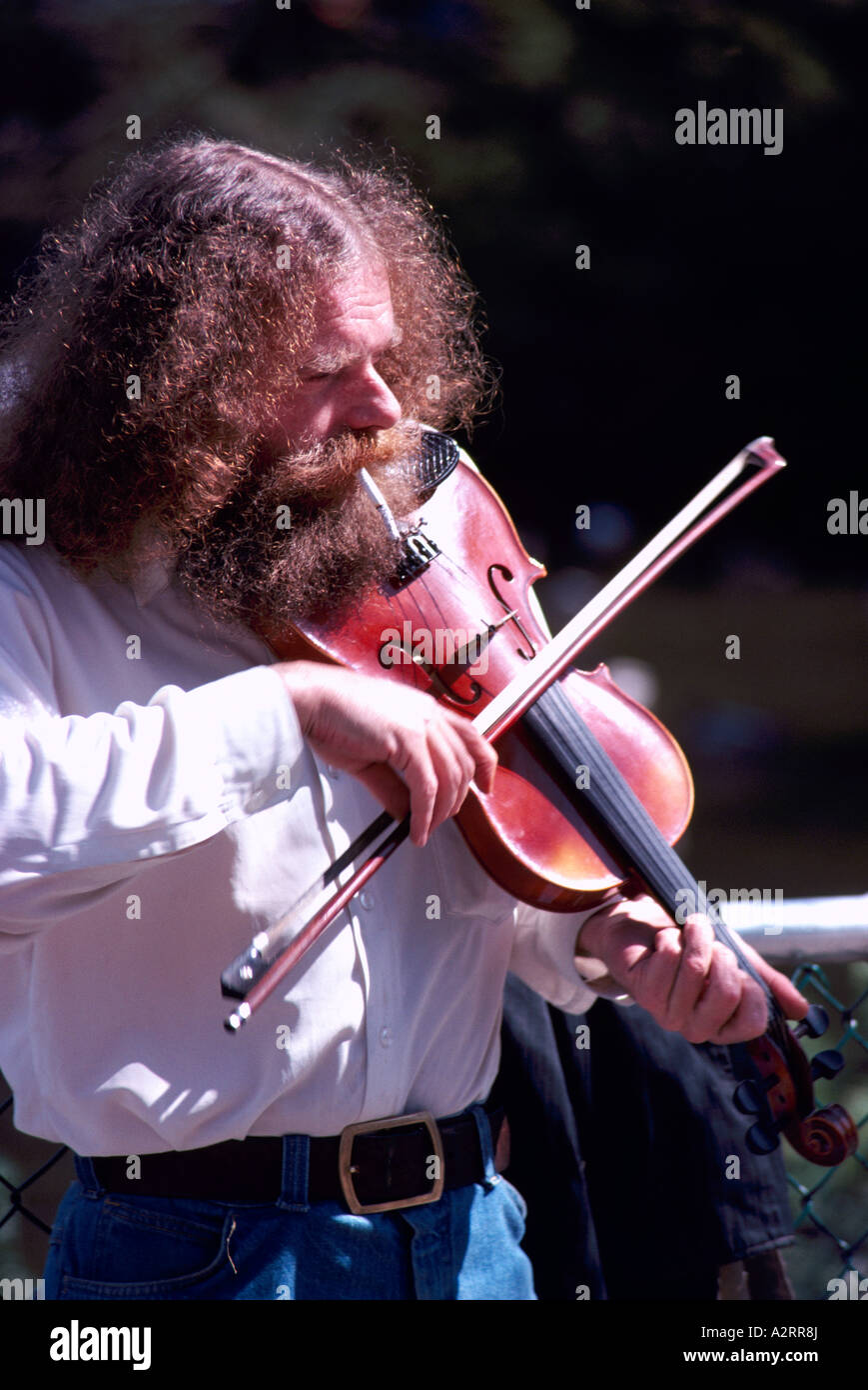 A Hippie Busker Musician playing the Violin in Vancouver British ...