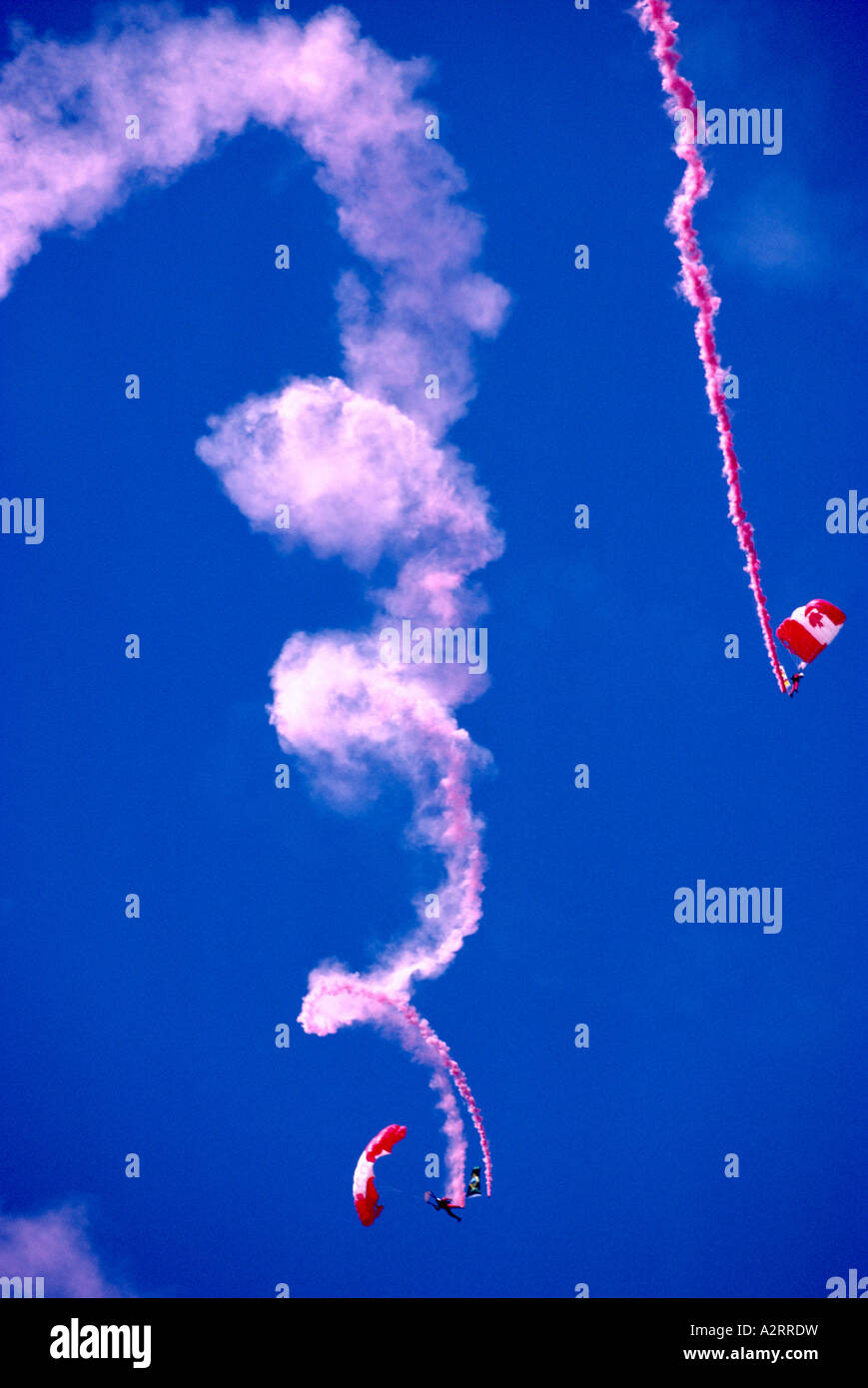 Two Sky Divers skydiving in Formation with Canadian Flag Parachutes and ...