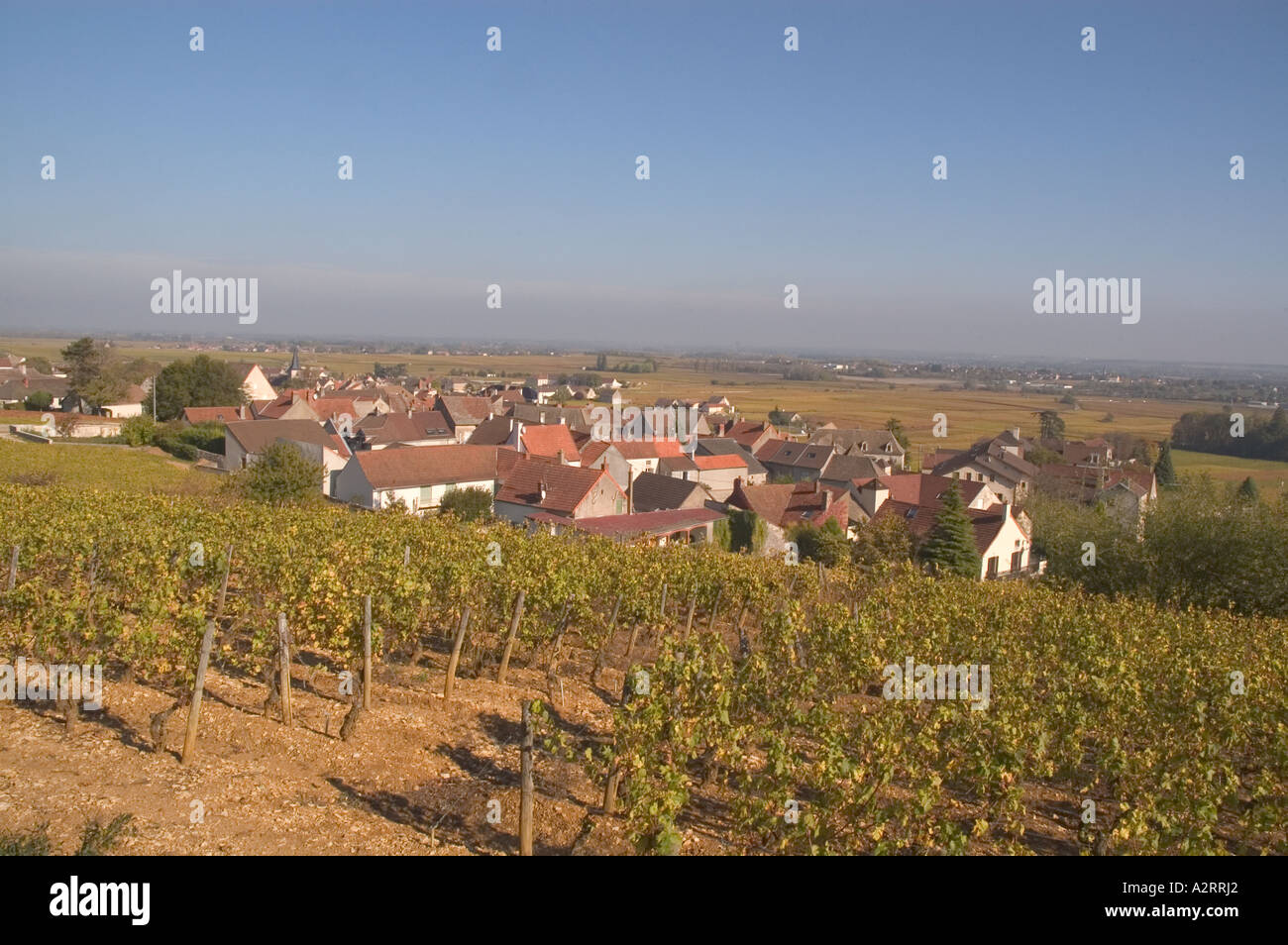 Montrachet village hi-res stock photography and images - Alamy