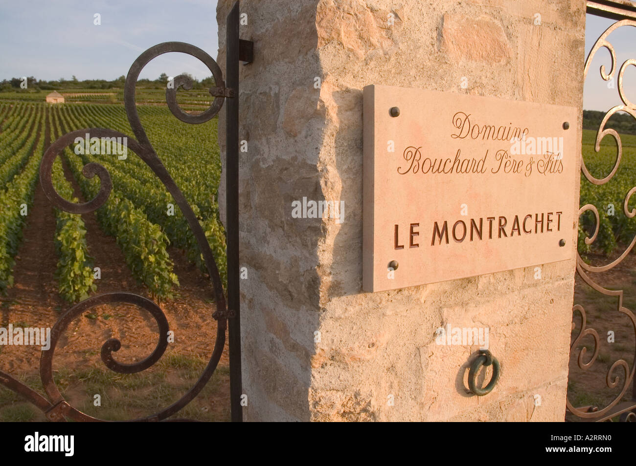 Bouchard Pere et Fils, gate to their section of Le Montrachet vineyard ...