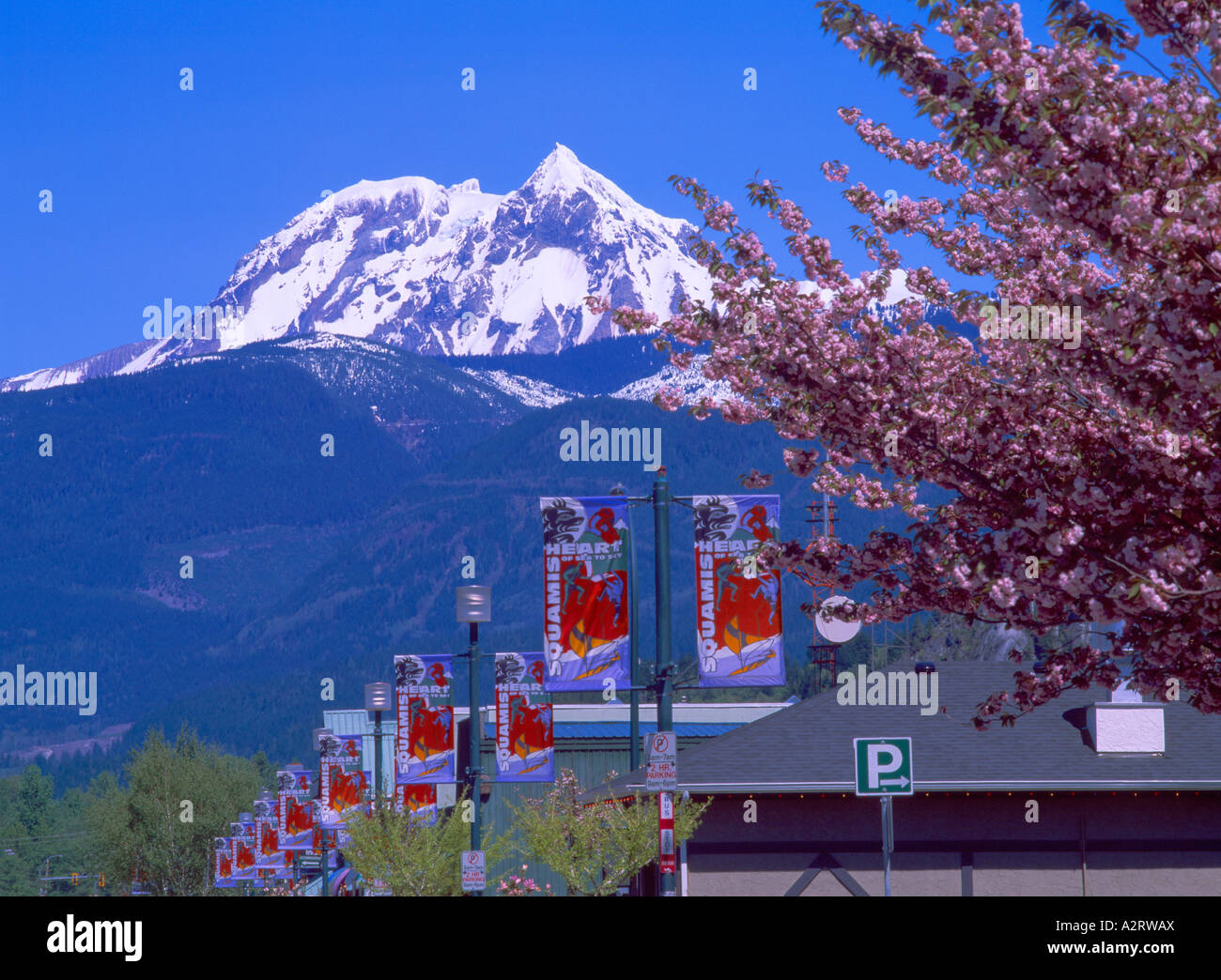 Mount garibaldi mountain squamish hi-res stock photography and images ...