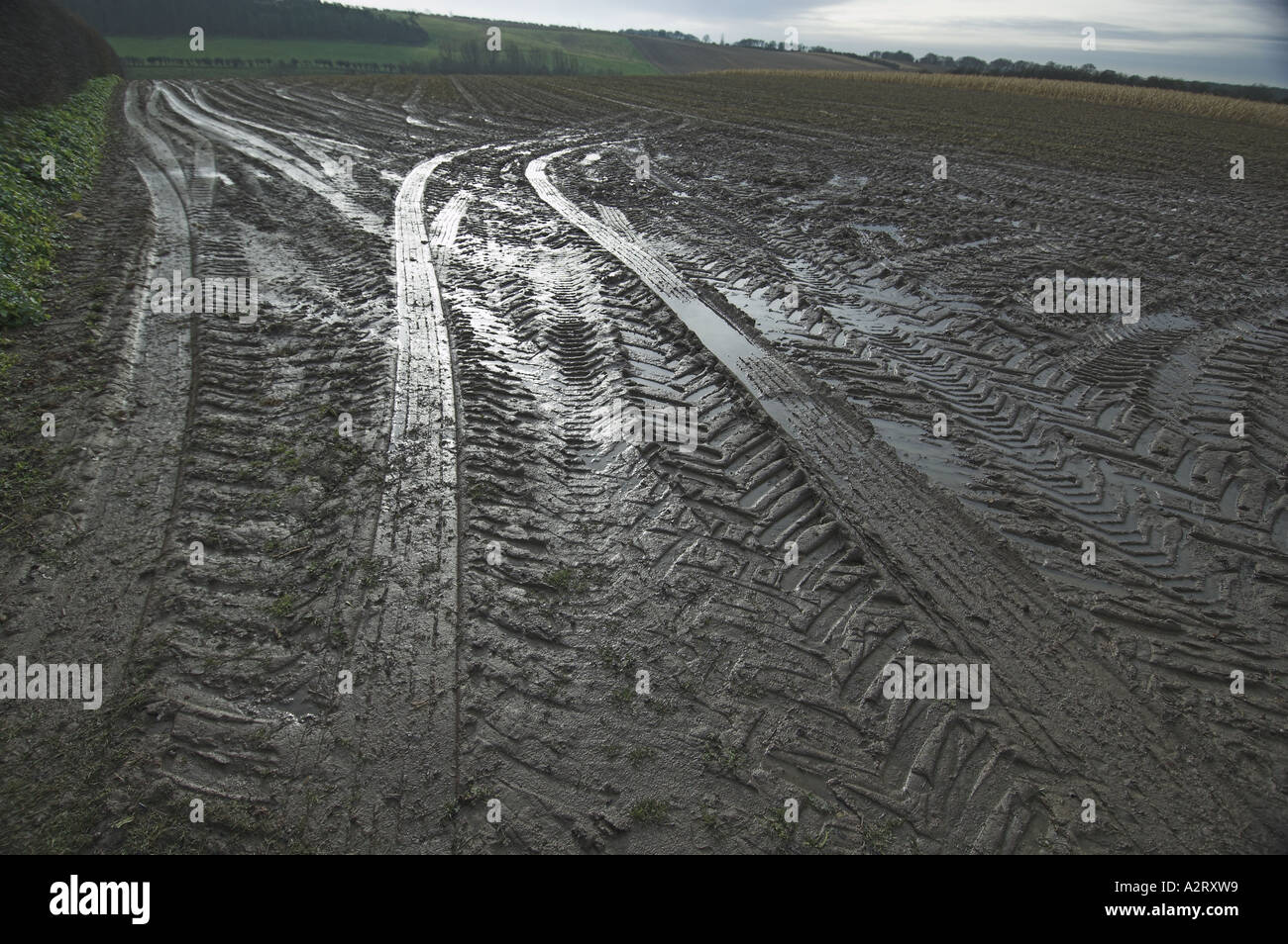 Muddy tracks field hi-res stock photography and images - Alamy