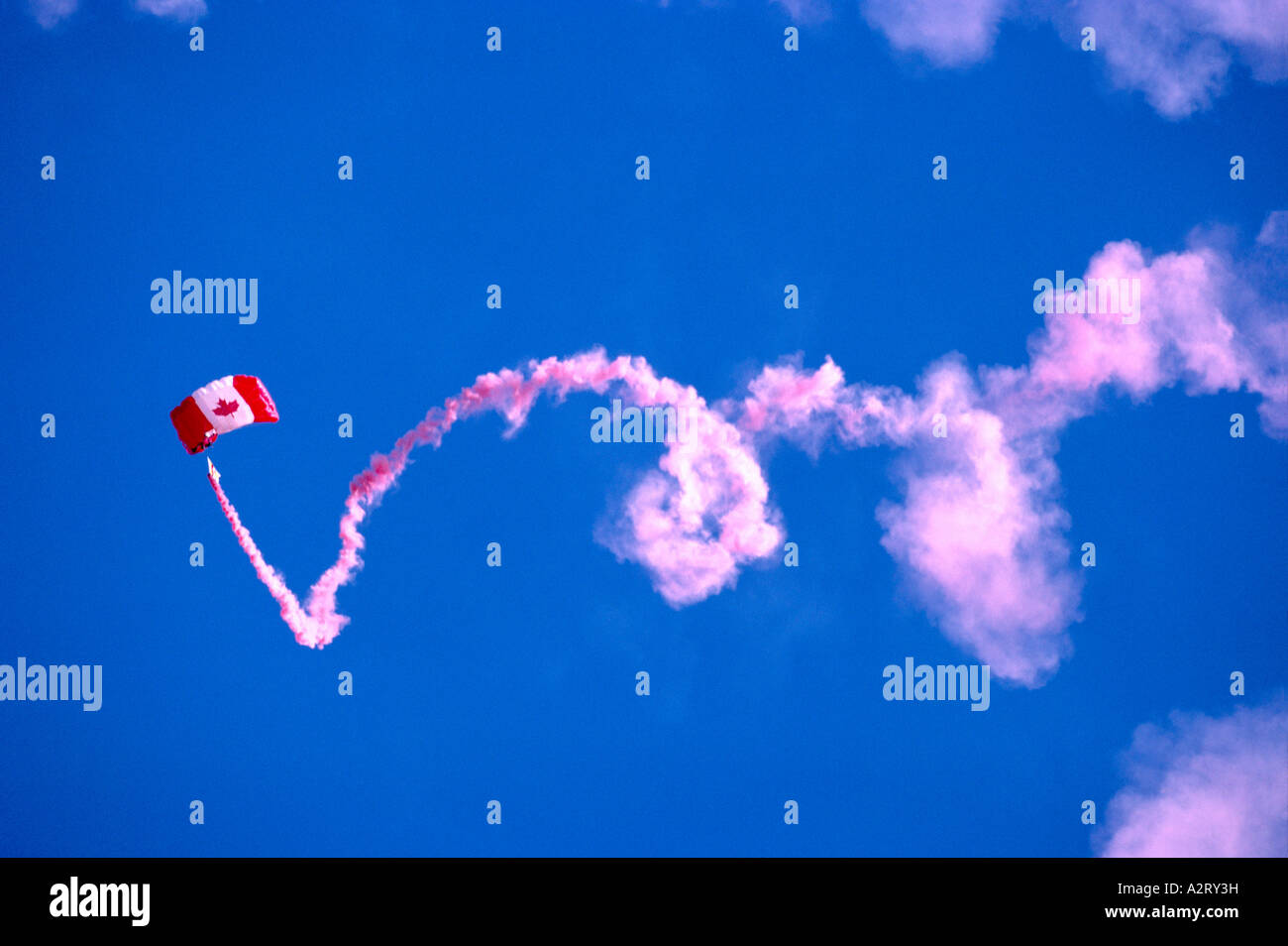 One Sky Diver skydiving with Canadian Flag Parachute and Pink Smoke ...