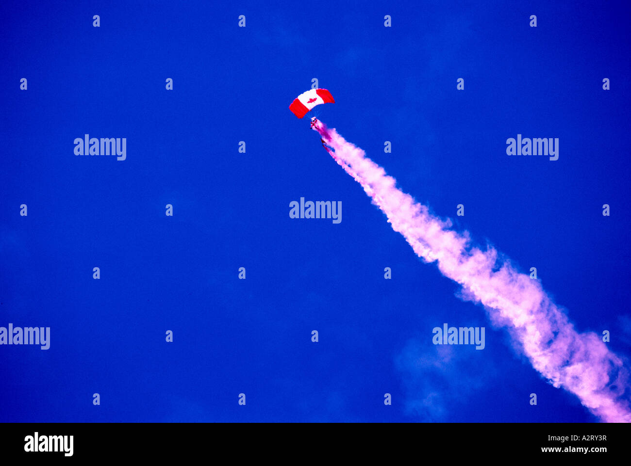 One Sky Diver skydiving with Canadian Flag Parachute and Pink Smoke ...