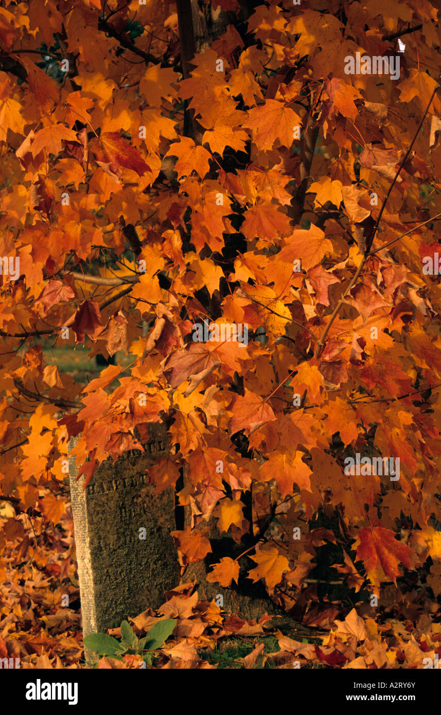 Autumn Fall Colors in a scenic New England graveyard located in New ...