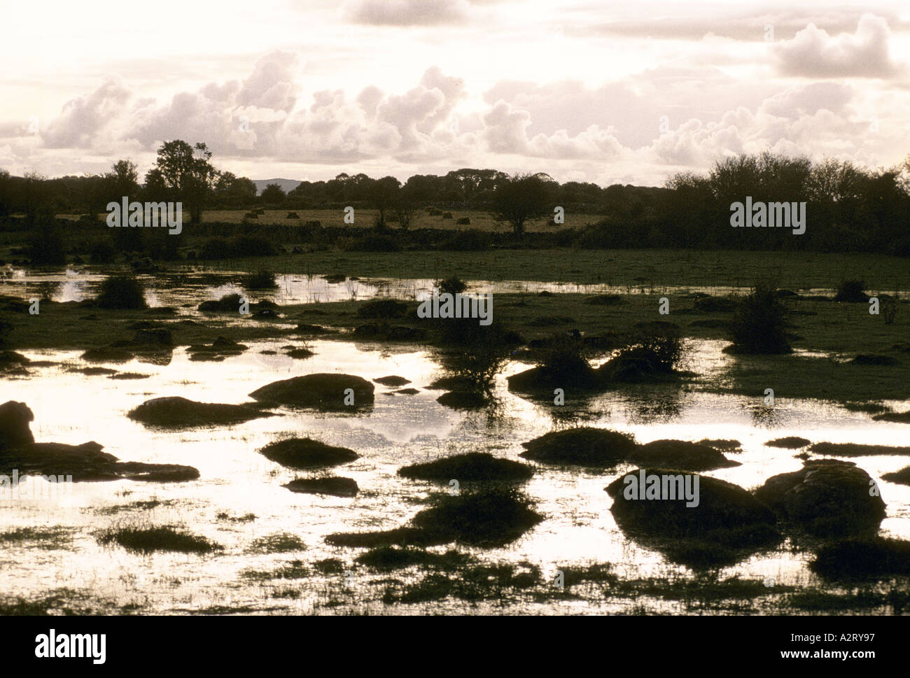 swamp land galway ireland Stock Photo - Alamy