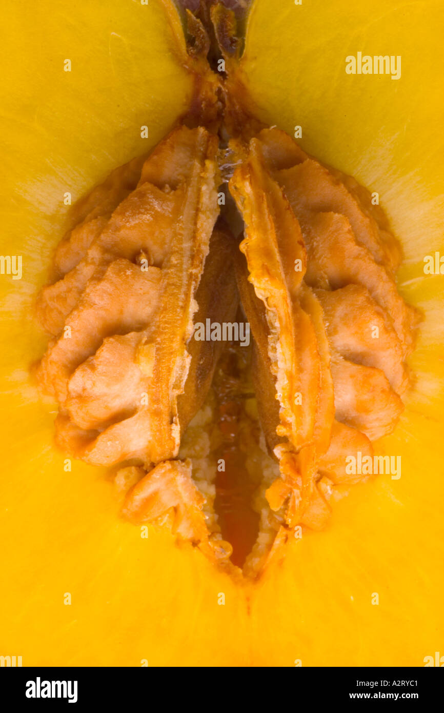 Peach pit embedded in the fruit Stock Photo - Alamy