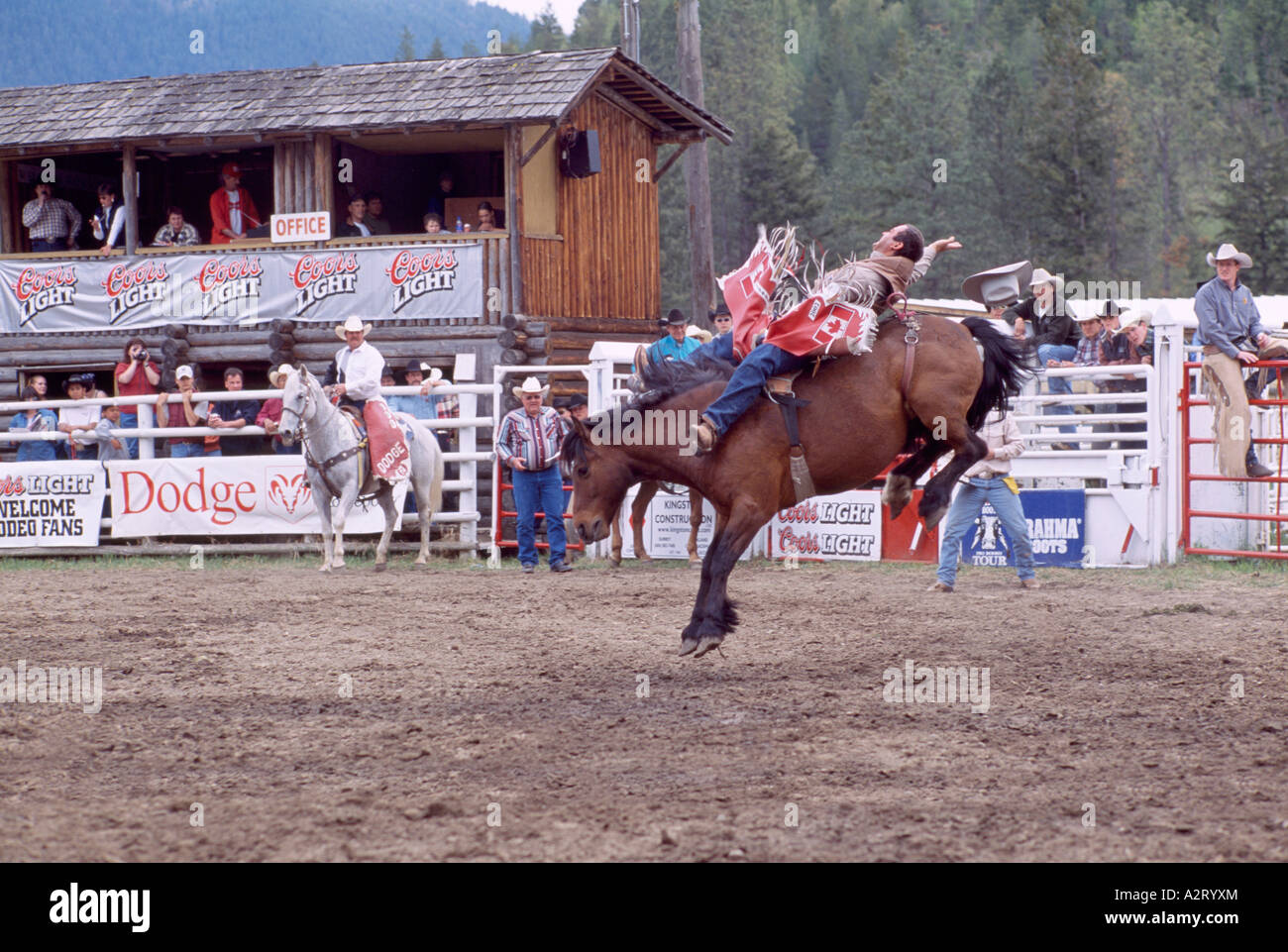 Bucking Bronco, Cowboy Bareback Riding Horse, Falkland Stampede, BC ...