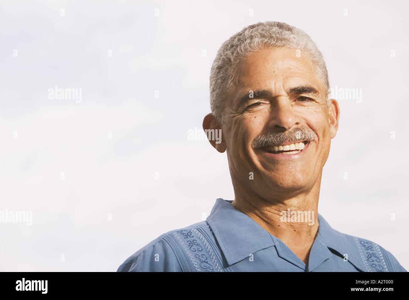 Sonic Portrait High Resolution Stock Photography and Images - Alamy