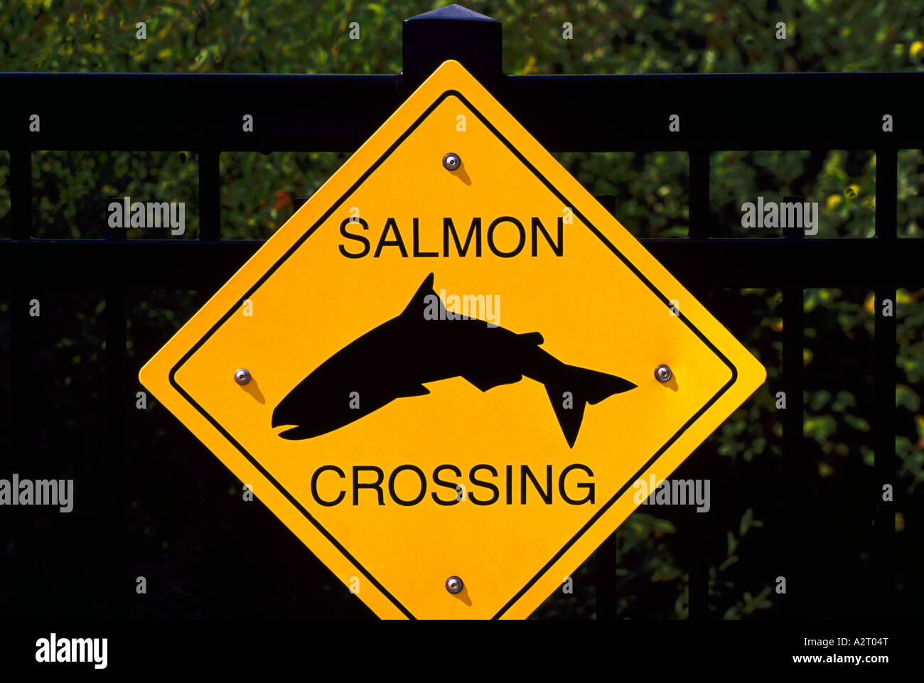 Salmon Fish Crossing Sign Stock Photo - Alamy