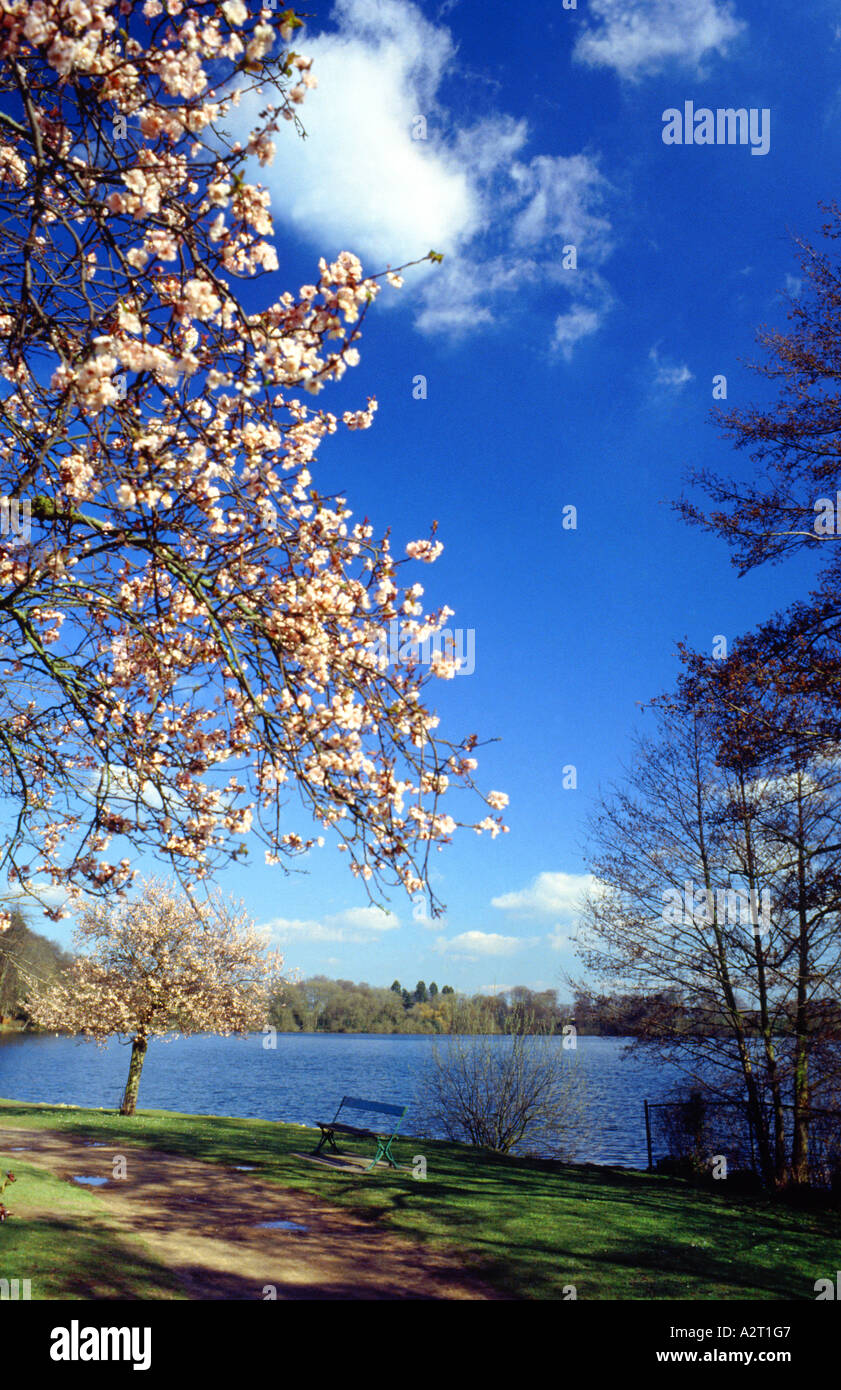 Great view azure pond hi-res stock photography and images - Alamy