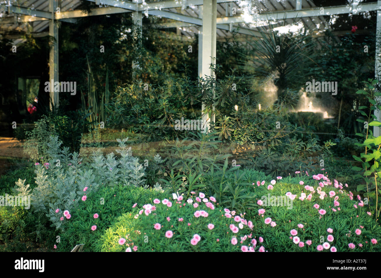 France, Paris, Parc Floral Stock Photo - Alamy