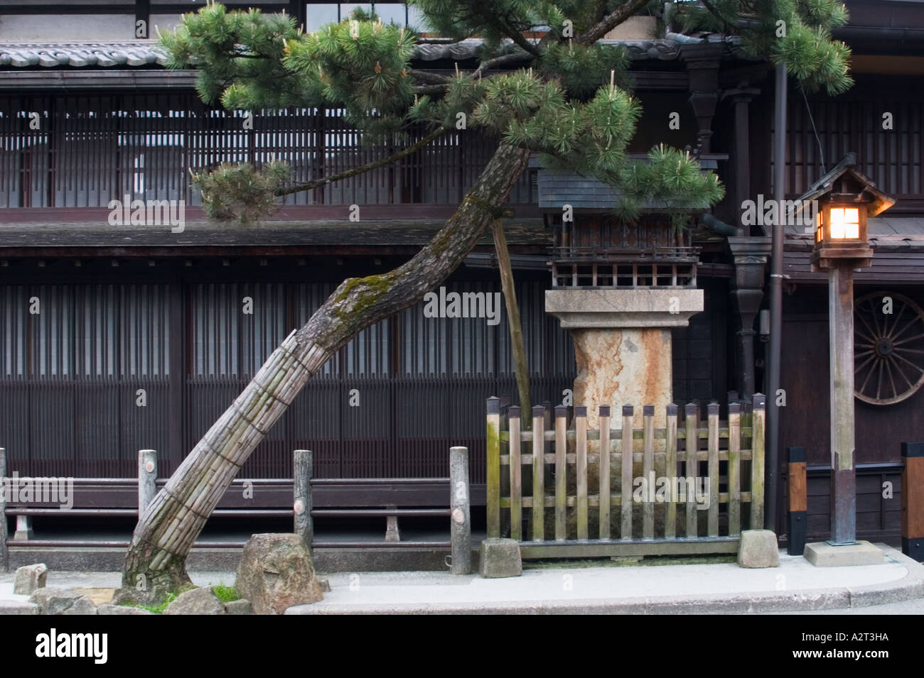Pine tree and lamp in front of a traditional Japanese building Takayama ...