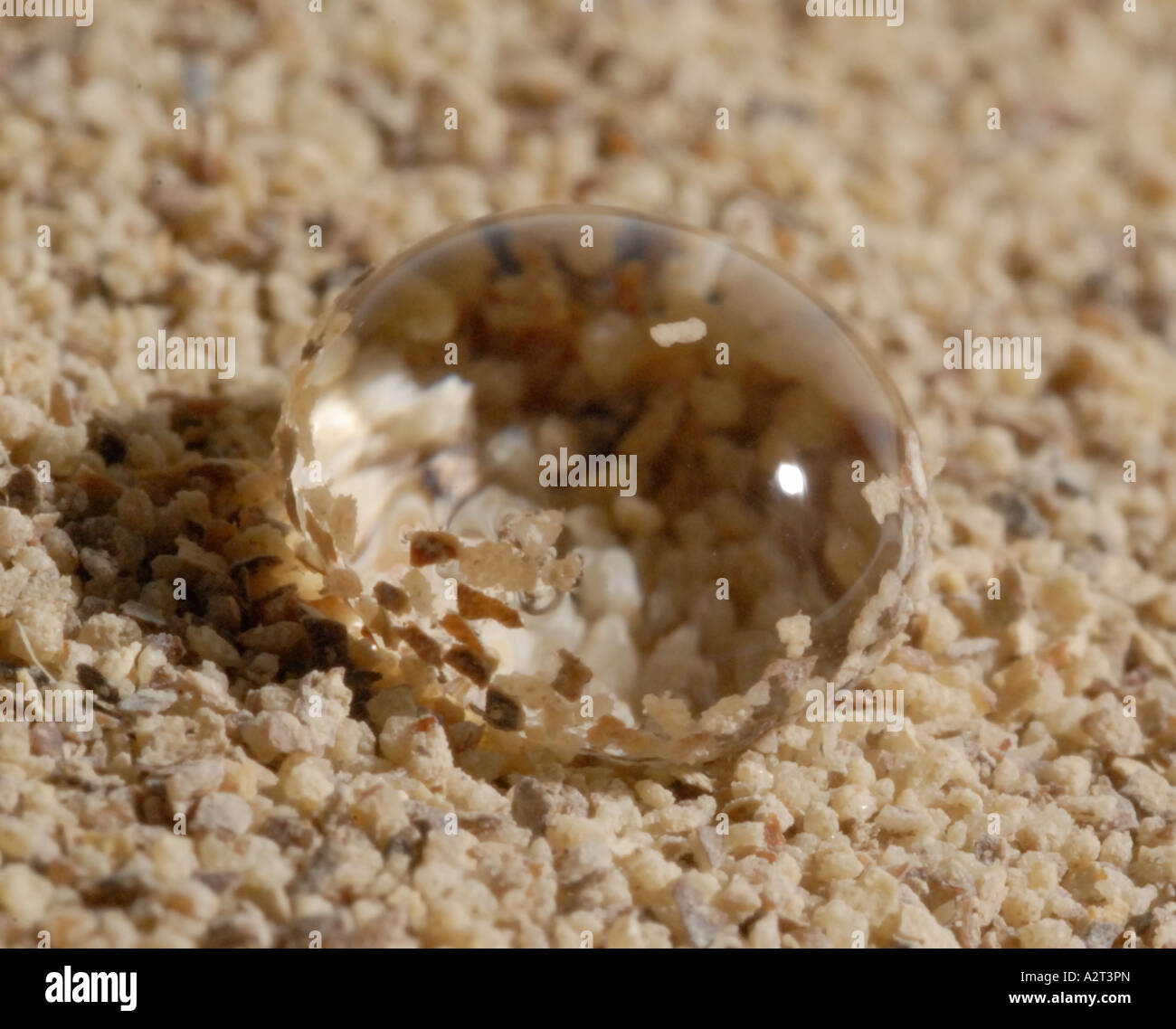 Drop of water on soil Stock Photo - Alamy