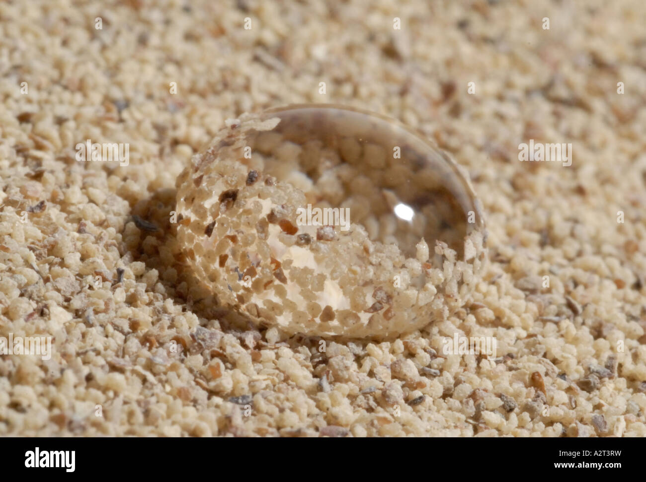 Drop of water on soil Stock Photo - Alamy
