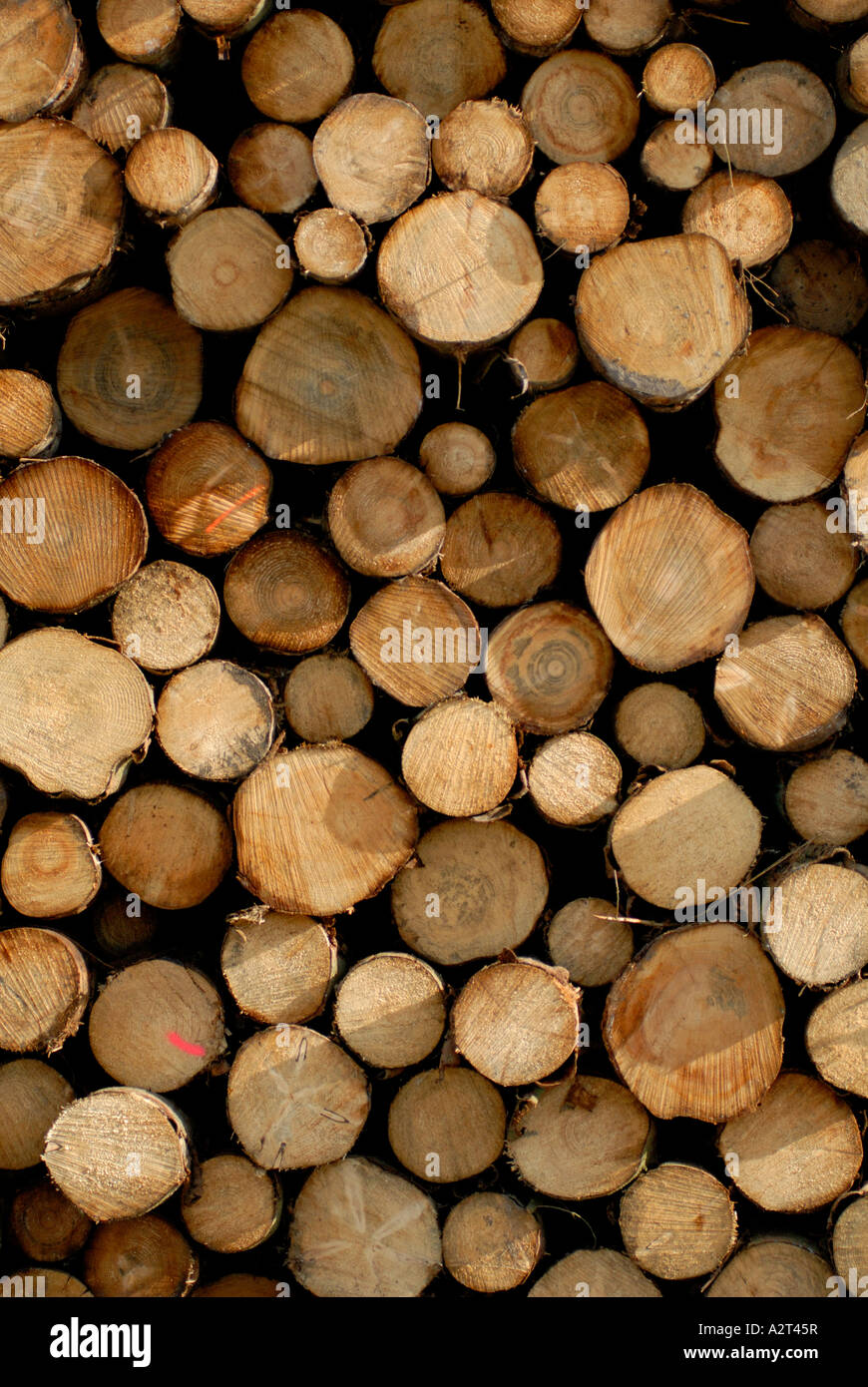 Pile of timber Stock Photo - Alamy