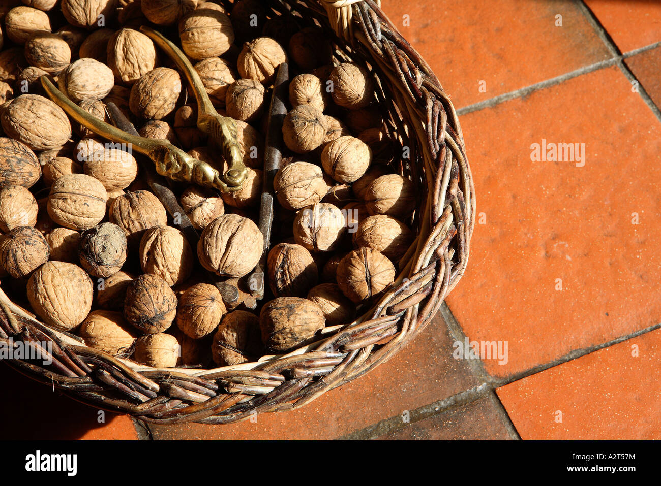 France, country walnuts Stock Photo - Alamy