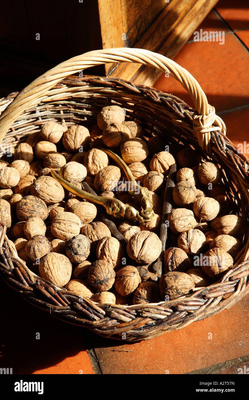 France, country walnuts Stock Photo - Alamy