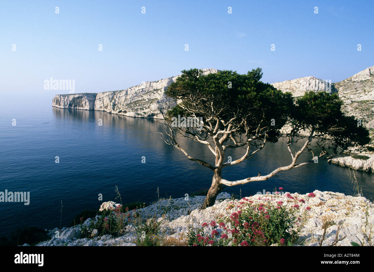 France Bouches du Rhône Calanque de Morgiou Stock Photo - Alamy