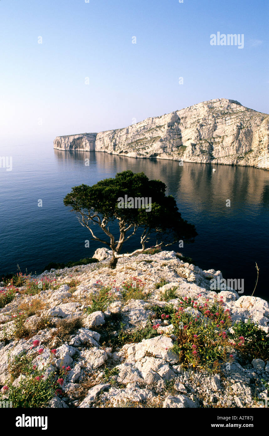 France Bouches du Rhône Calanque de Morgiou Stock Photo - Alamy