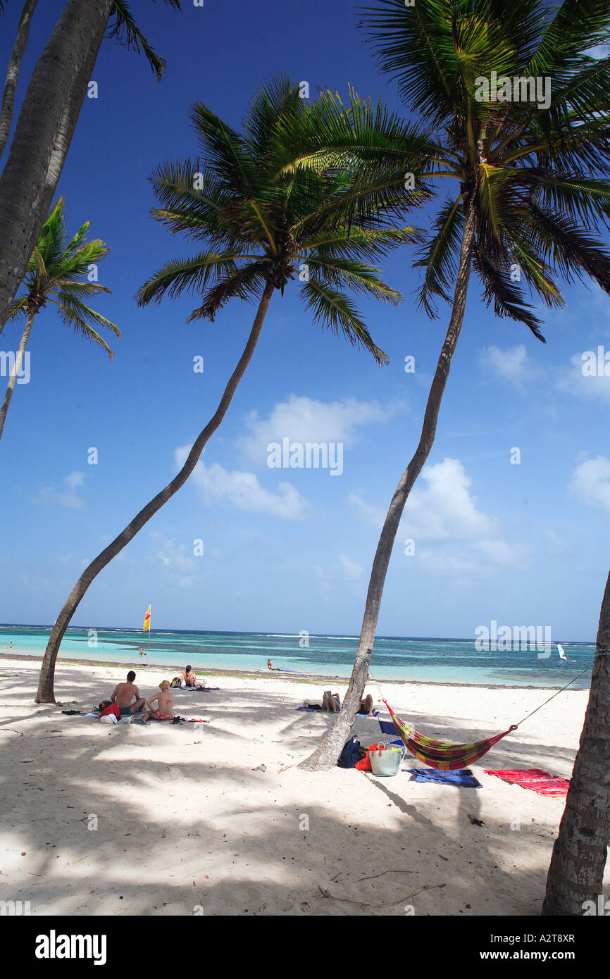 France, La Martinique, Cap Chevalier, Anse Michel beach Stock Photo - Alamy