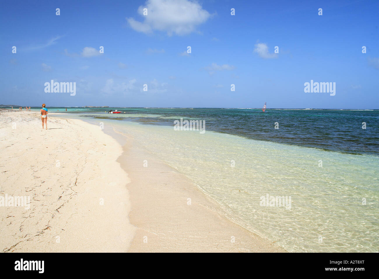 France, La Martinique, Cap Chevalier, Anse Michel beach Stock Photo - Alamy