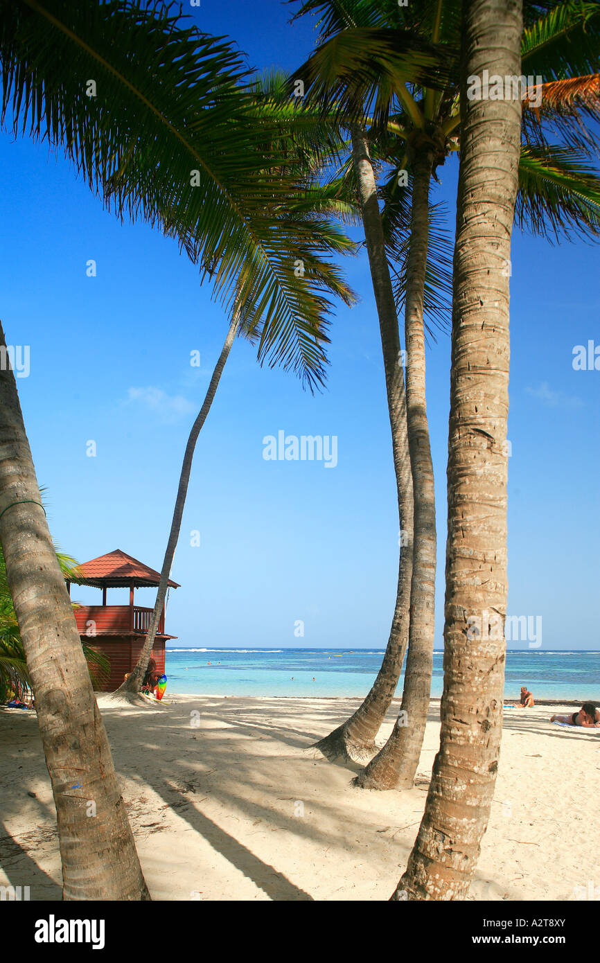 France, La Martinique, Cap Chevalier, Anse Michel beach Stock Photo - Alamy