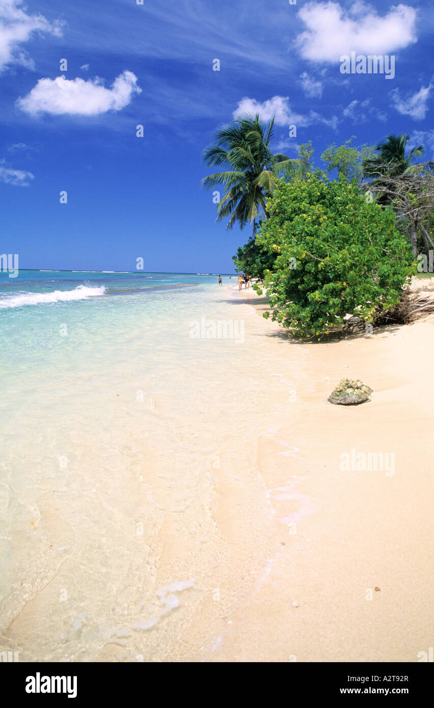 France, Martinique (French West Indies), beach Stock Photo - Alamy