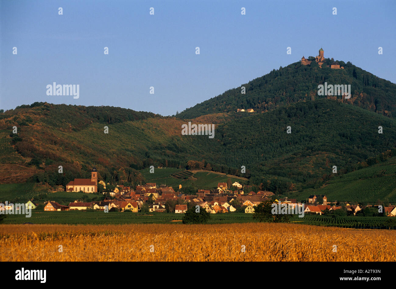 France, Bas Rhin, in the Vosges mountains, Haut Koeningsbourg area and ...