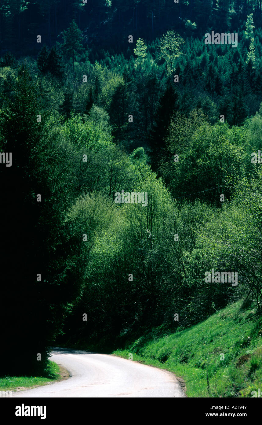 France, Bas Rhin, Northern area of the Vosges mountain Stock Photo - Alamy