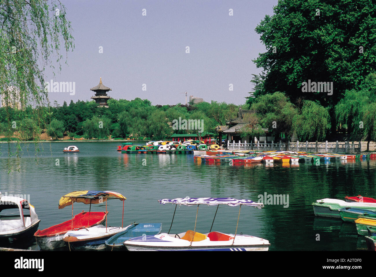 Xingqing palace hi-res stock photography and images - Alamy