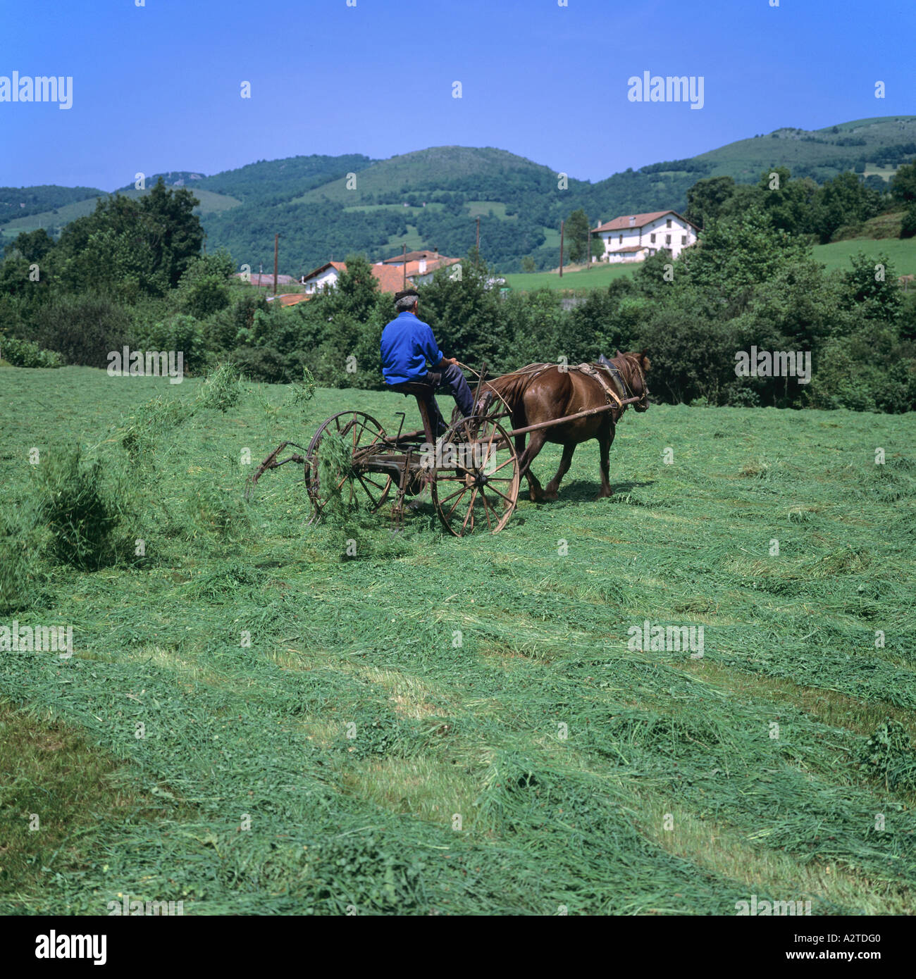 FARMER TURNING HAY WITH A HORSE-DRAWN TEDDER BASQUE COUNTRY PYRENNEES ...