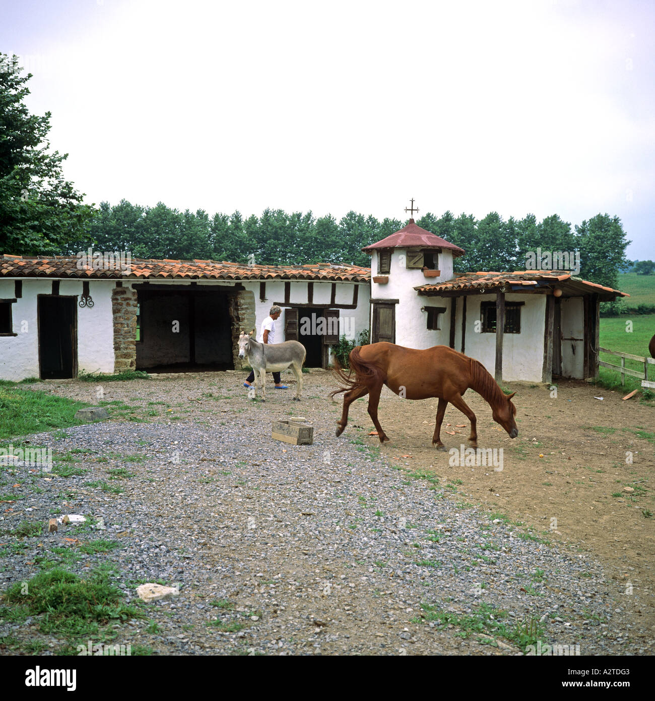 Donkey stable hi-res stock photography and images - Alamy
