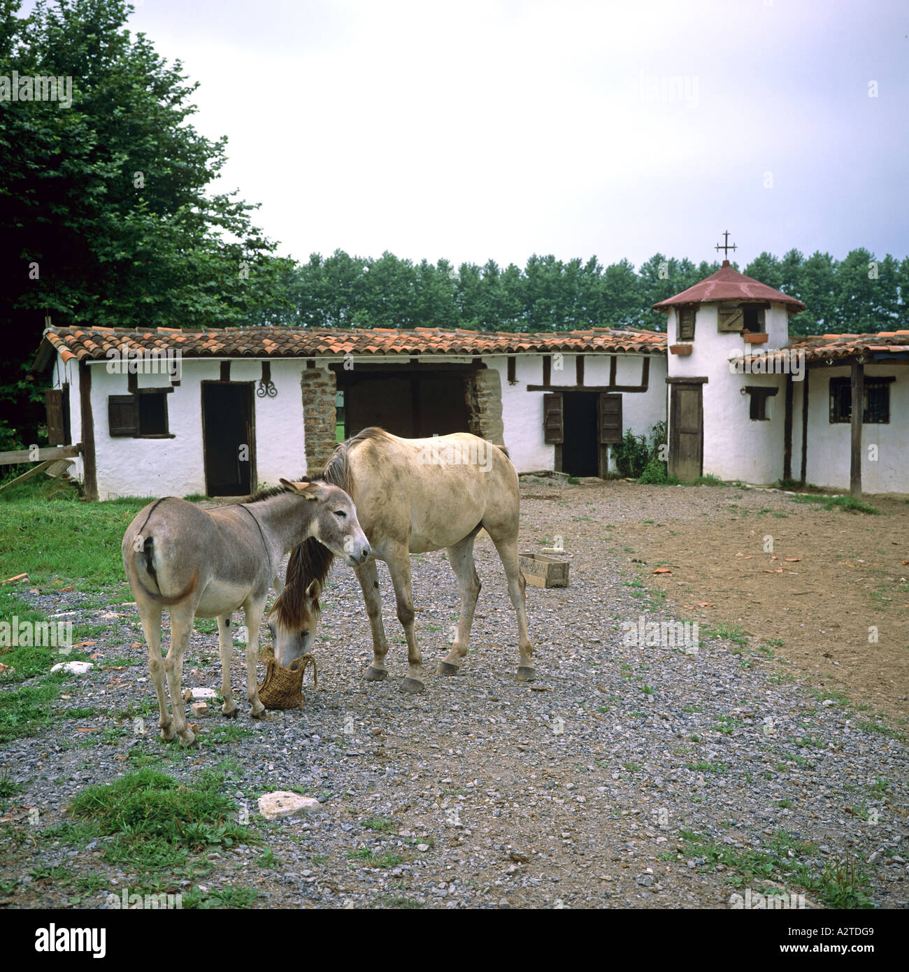 Donkey stable hi-res stock photography and images - Alamy