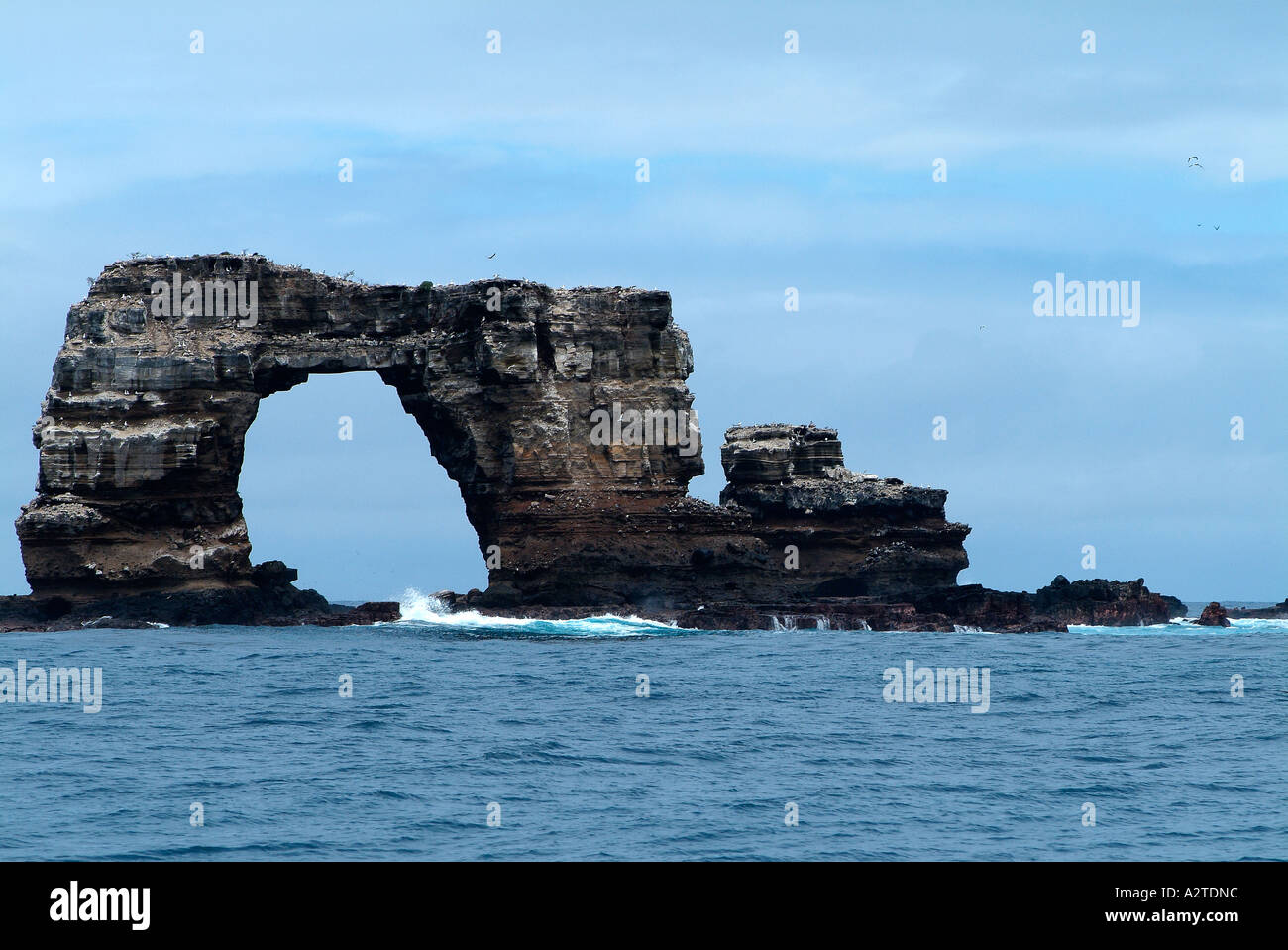 Darwin Arch in the Galapagos Archipelago Stock Photo - Alamy