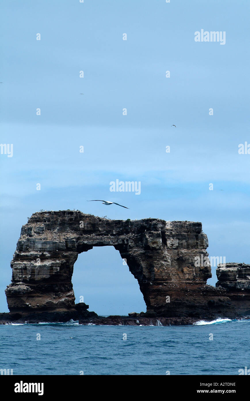 Darwin Arch in the Galapagos Archipelago Stock Photo - Alamy