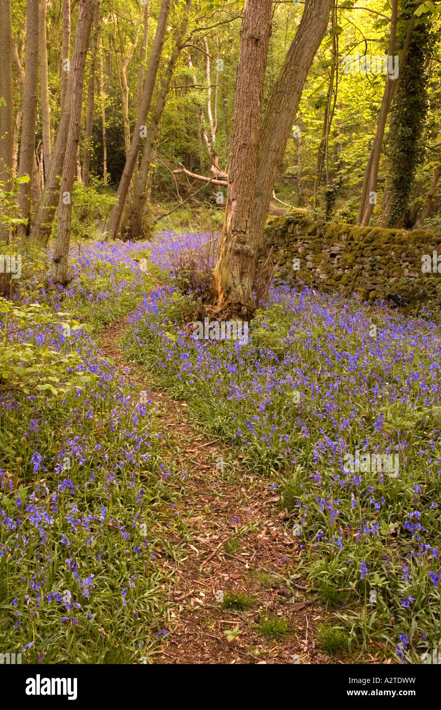 Grewelthorpe hi-res stock photography and images - Alamy